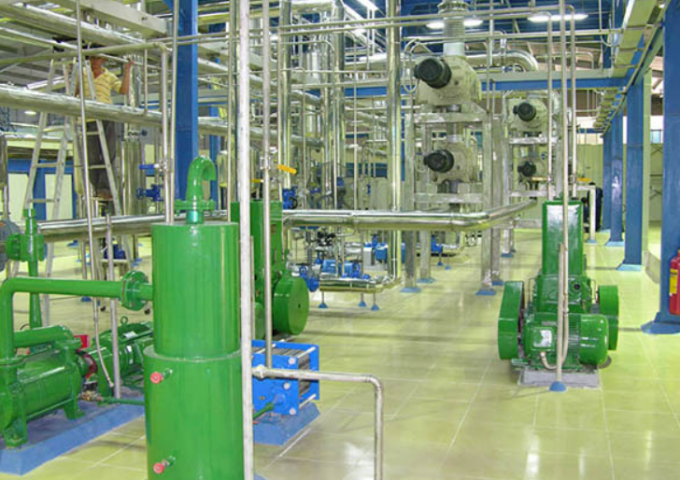 PLC Fish Oil Refining System High Productivity Fish Oil Ethyl Ester ...